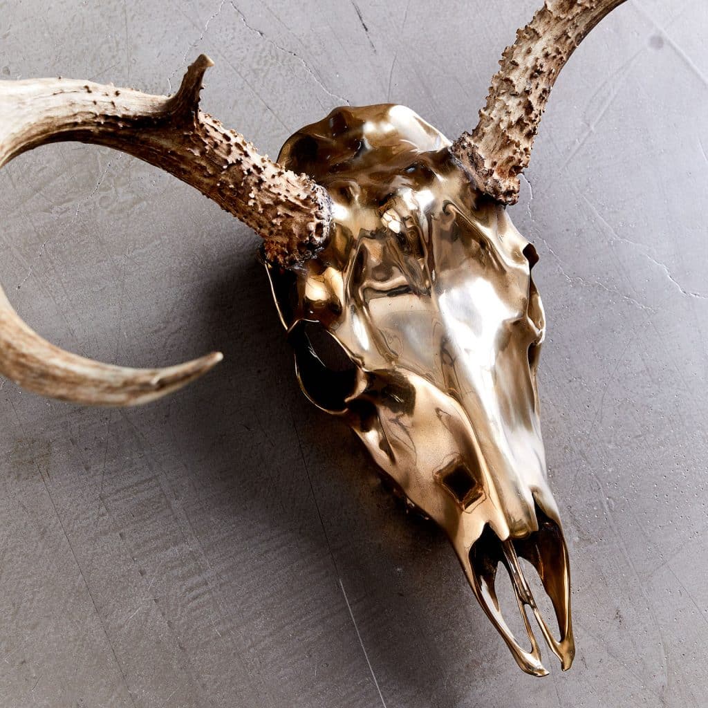 Bronze Deer Mount Small By Ashley Tudor – Coup D'Etat
