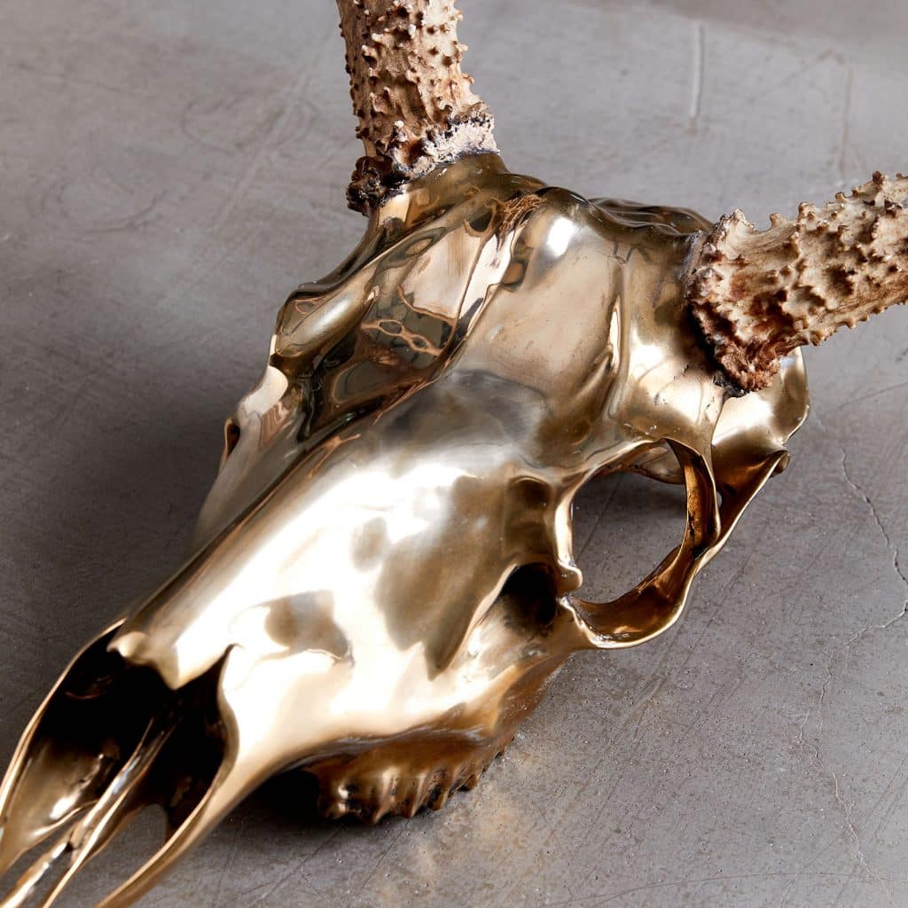 Bronze Deer Mount Small By Ashley Tudor – Coup D'Etat